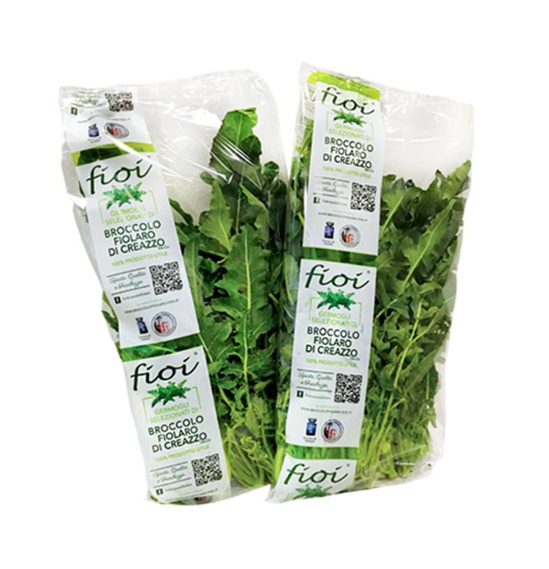 Broccolo fiolaro di Creazzo - broccolo fiolaro Creazzo, broccolo-fioi